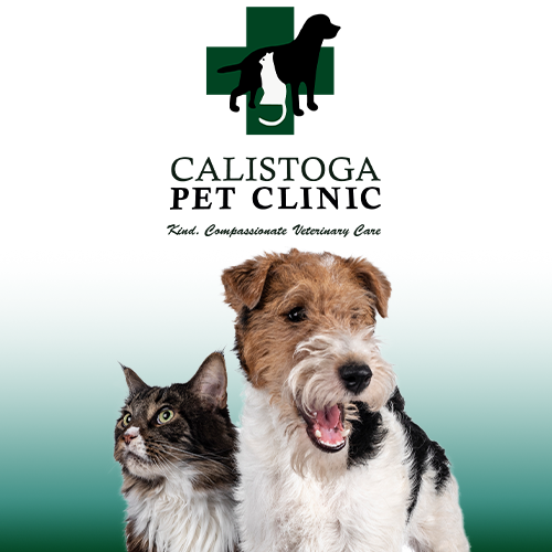Vet Clinic in Napa Valley & Lake County, CA | Calistoga Pet Clinic